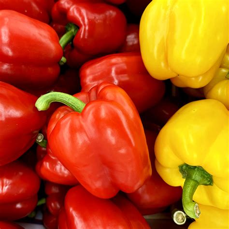 온누리팔도시장