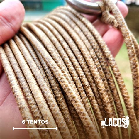 Laço 6 Tentos Laços Caxias