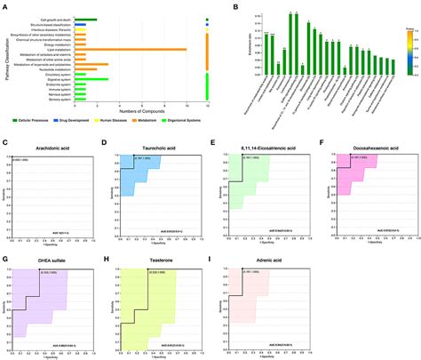 Frontiers Correlation Between Fecal Metabolomics And Gut Microbiota