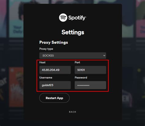 How To Set Up A Proxy In Spotify Proxy Seller
