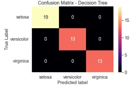 Decision Trees In Python And Scikit Learn Inquisitive Toad