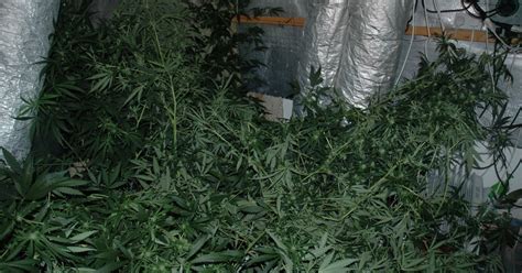 Man To Appear In Court Charged With Marino Drug Seizure Dublin Live