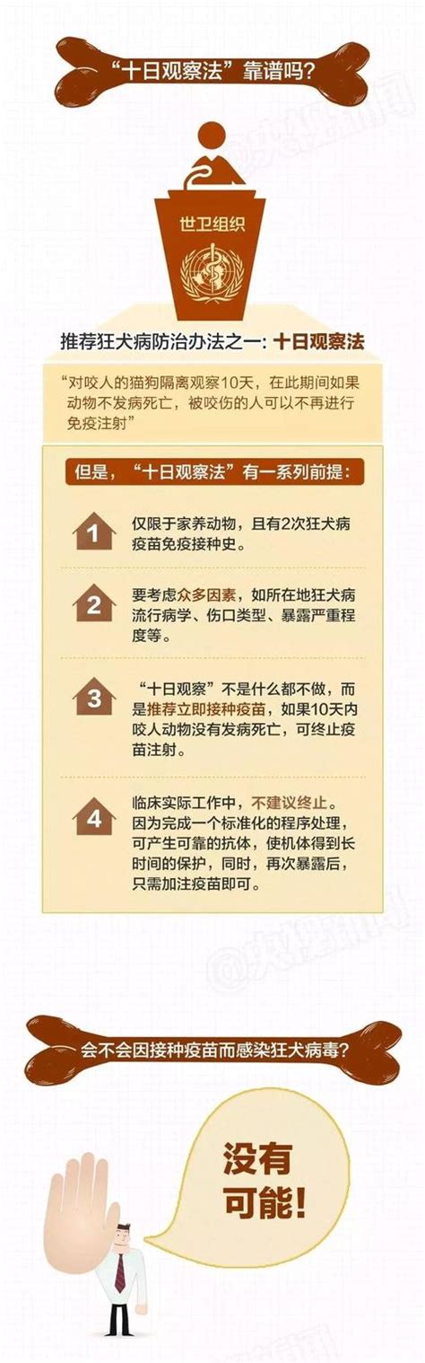 狂犬病的真相這些問題 你還要誤解多久 每日頭條