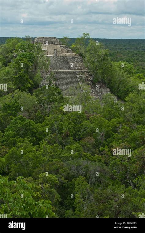 La Reserva De La Biosfera De Calakmul Es La Mayor Extension De Bosque