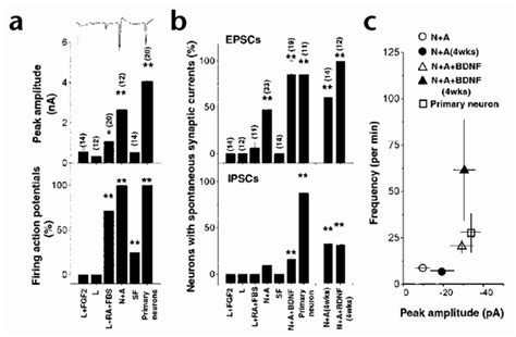Summary Of Physiological Properties Of Neural Progeny Of Adult Stem