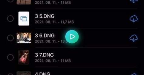 Files Copy Paste Bug Album On Imgur