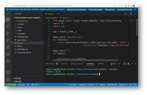 Vs Code Server 本地 Docker 部署贝锐花生壳内网穿透远程访问教程 极客公园