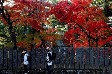 第4回フォトコンテスト入賞作品｜高野・山麓いと楽し～高野山と高野山麓 観光ポータルサイト～