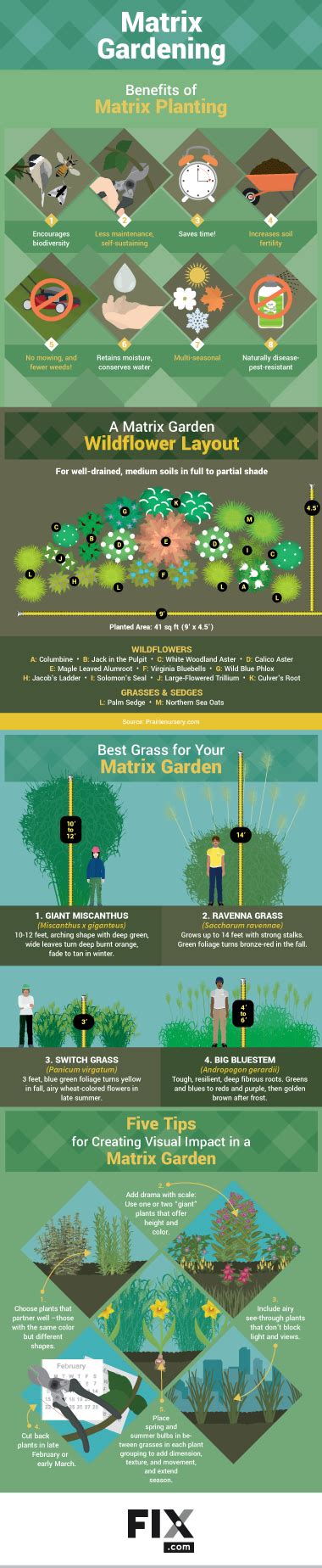 Guide To Matrix Planting