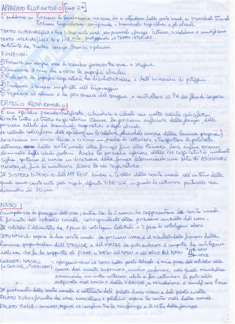 Nozioni Apparato Respiratorio Appunti Di Anatomia