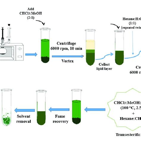 Cosmo Rs Predicted Infinite Dilution Capacity Values Y Axis Of Ils