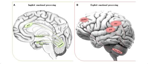 Suggested Networks For Implicit And Explicit Emotional Processing