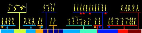 Clustering Labels One Color Per Cluster For The Cmu Mocap Dataset Download Scientific Diagram