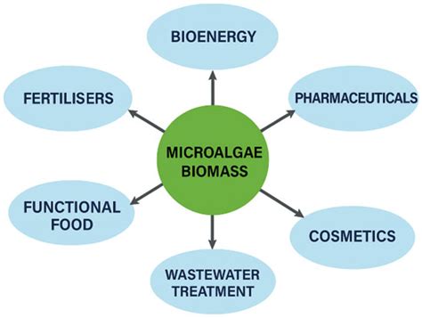 Multi Sensing Monitoring Of The Microalgae Biomass Cultivation Systems