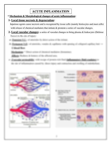 SOLUTION Inflammation Part 1 Pathology Studypool