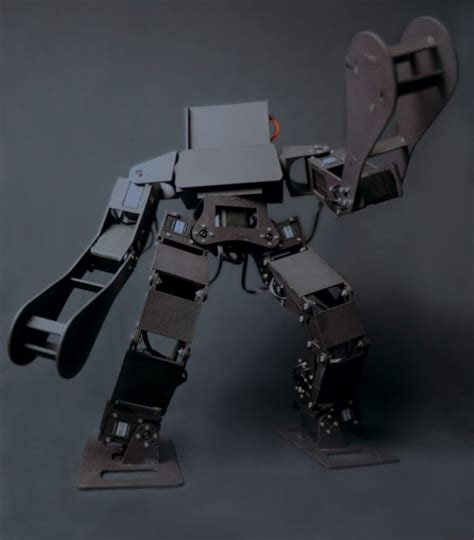 Programming The 3d Printable Fighting Robot Servodriven