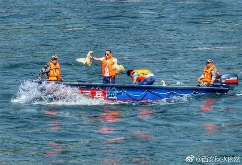 陕西安康龙舟赛上抢鸭子摸鲤鱼 浪里白条腾跃翻滚好不热闹