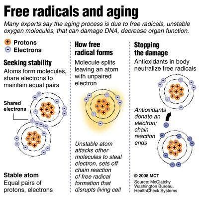 What Are Free Radicals And How Do They Affect Your Skin Odacite