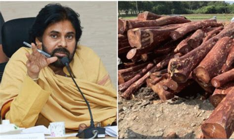 ఈ పుష్పరాజ్‌ పైనే పవన్‌ దృష్టి Red Sandalwood Smuggling In