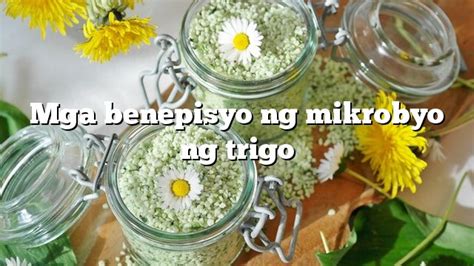 Mga Benepisyo Ng Mikrobyo Ng Trigo Kaalaman