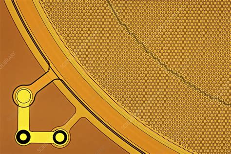 Smartphone MEMS Microphone LM Stock Image C046 0819 Science Photo Library