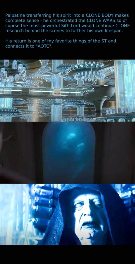 Speculations Mihawk And Imu Conection Solved Mihawk Is Celestial