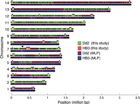 Mapping The Recombination Breakpoints Across The 14 P Falciparum