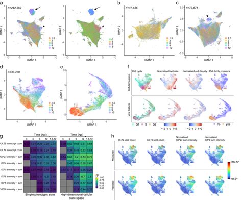 Cellular State Landscape Correlates With Cell To Cell Variation Of