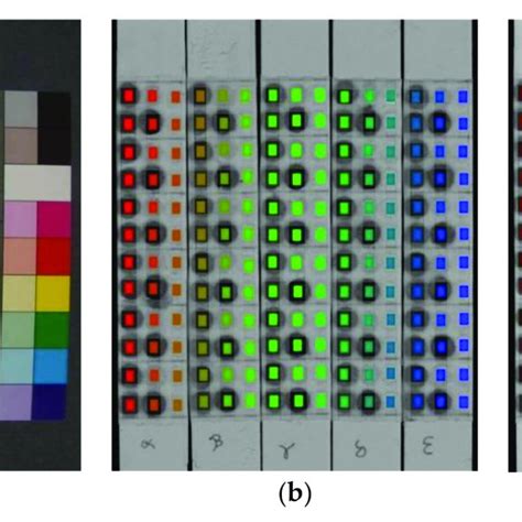 A The Mounted Samples Used For The Light Ageing Experiments Download Scientific Diagram