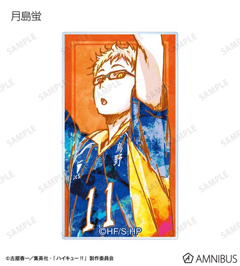 ハイキュー トレーディング Ani Art 第2弾 アクリルステッカー Amnibusアムニバス