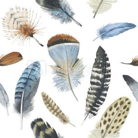 Plume Doiseau Aquarelle Daile Isolée La Papiers Peints à Motifs