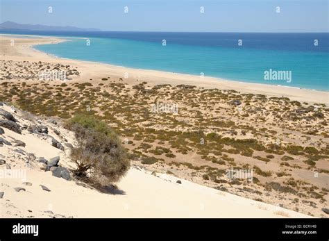 Aerial View Of The Beach Playa De Sotavento Canary Island