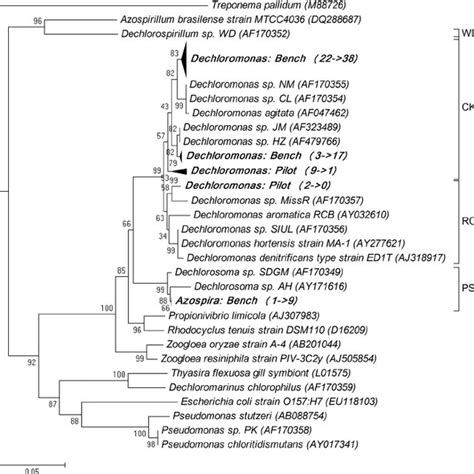 Fractions Of The Four Classes Of Proteobacteria In The Bench And