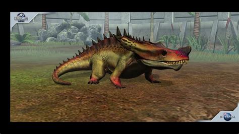 Diplotator Youtube
