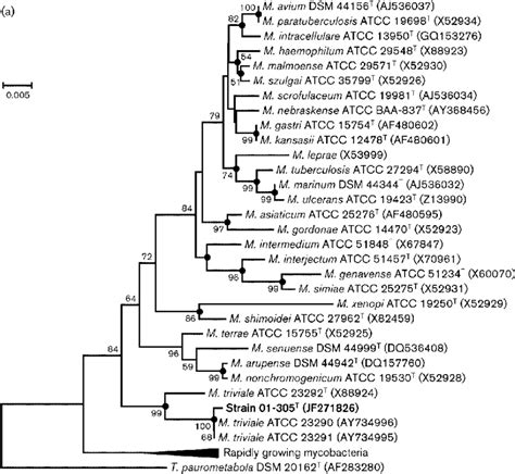 Alignments Of Hypervariable Regions A And B Of The 16s Rrna Gene
