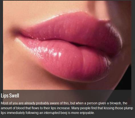 10 Interesting Facts Everyone Should Know About Blowjobs 10 Pics