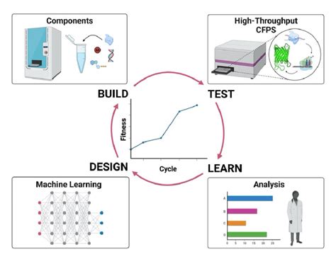 Design Build Test Learn Cycle Involving Machine Learning The Figure