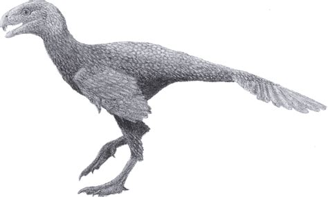 Incisivosaurus Gauthieri Wikiwand