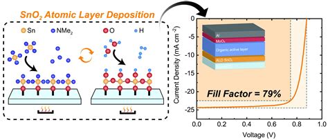 Outstanding Performance Of Organic Solar Cell Using Tin Oxide
