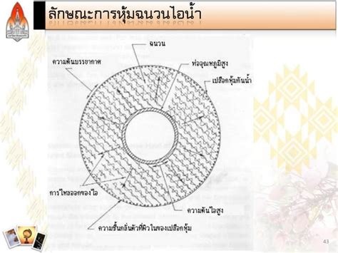 Steam And Condensate Loop Thai Pdf