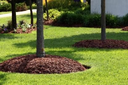 Tree Mulching Sydney All Sydney Tree Lopping