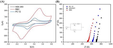 The Electrochemical Performance Of Cells Immobilized On The Shappedot