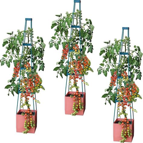 Uk Self Watering Tomato Planters