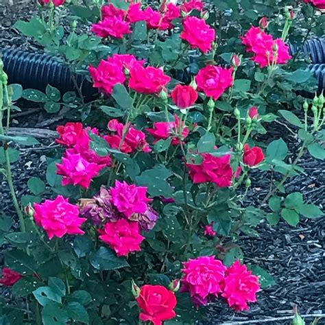 Anthony Sutton On Tumblr