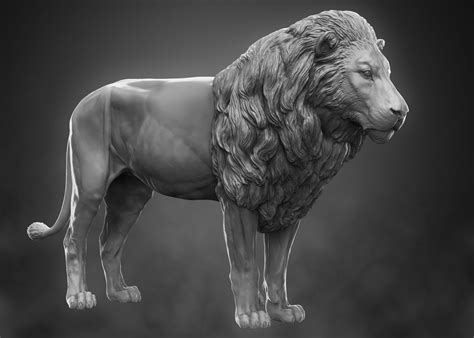 Lion Zbrush 3d Model Turbosquid 1214215