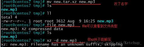 Linux文件管理大揭秘：压缩解压全攻略 Linux命令大全手册