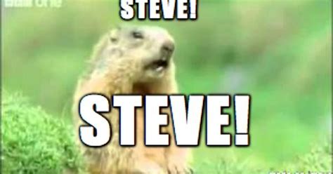 Saw Steve Aoki Last Night Was At The Front So This Is How I Acted