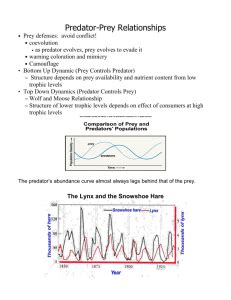 Predator Prey Simulation Lab Activity