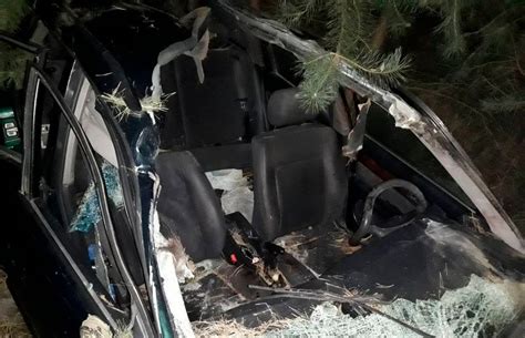 ДТП с лосем произошло под Барановичами пострадали 2 человека