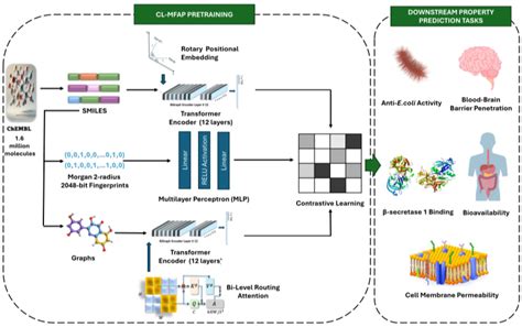 论文审查 Cl Mfap A Contrastive Learning Based Multimodal Foundation Model For Molecular Property